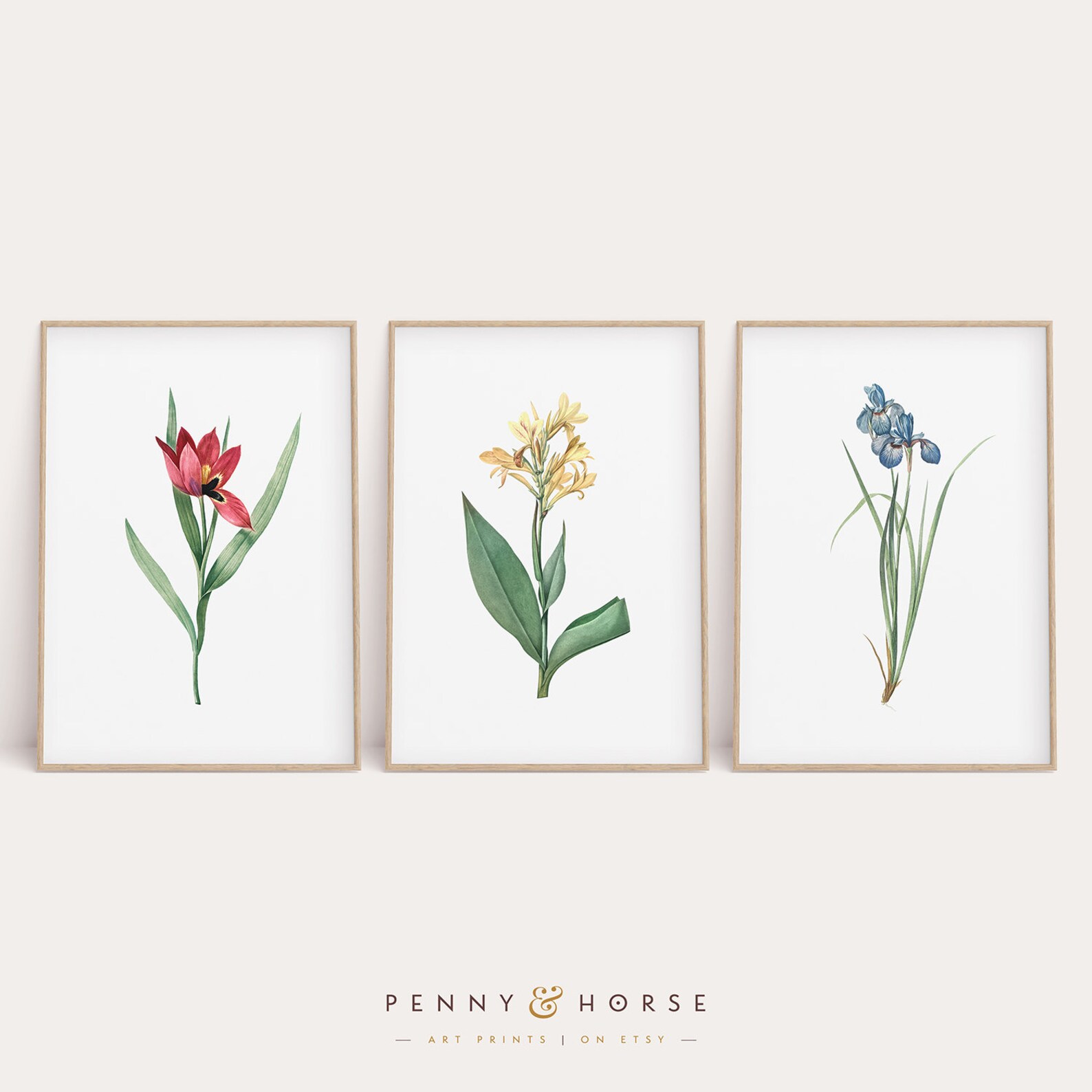 Vintage Bright Floral Print Set Set of 3 Vintage Flowers - Etsy UK