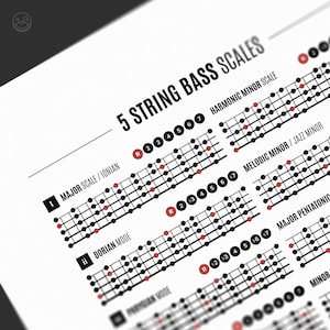 Five String Bass Guitar Scales Chart Bass Scales/Modes Print | Etsy