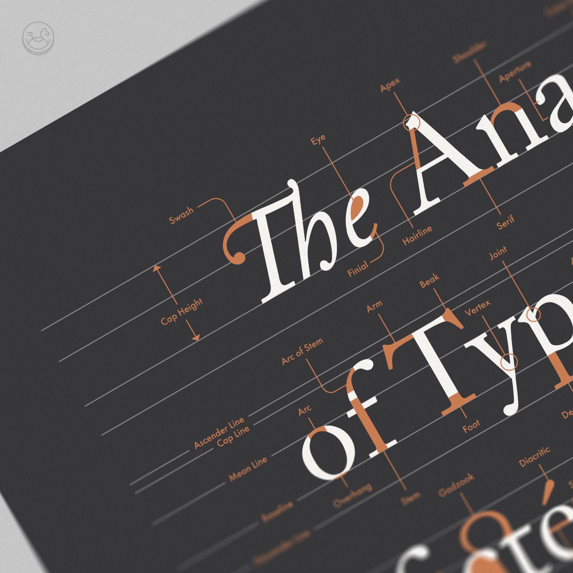 The Anatomy of Typography Poster, Font Design, Typography Terms, Type ...