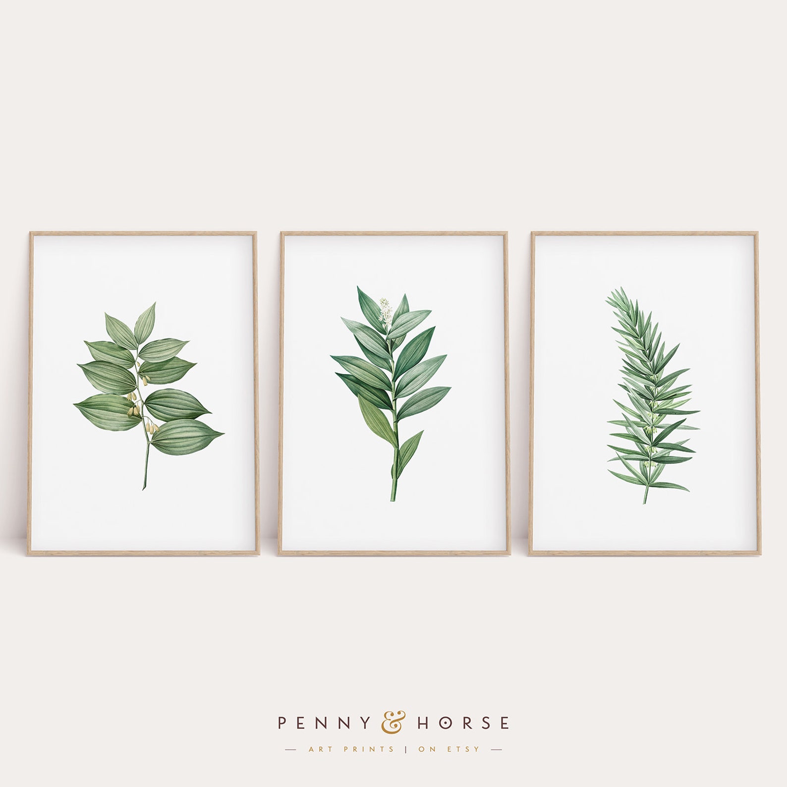 Vintage Botanical Print Set Green Leaf Prints Vintage Green - Etsy