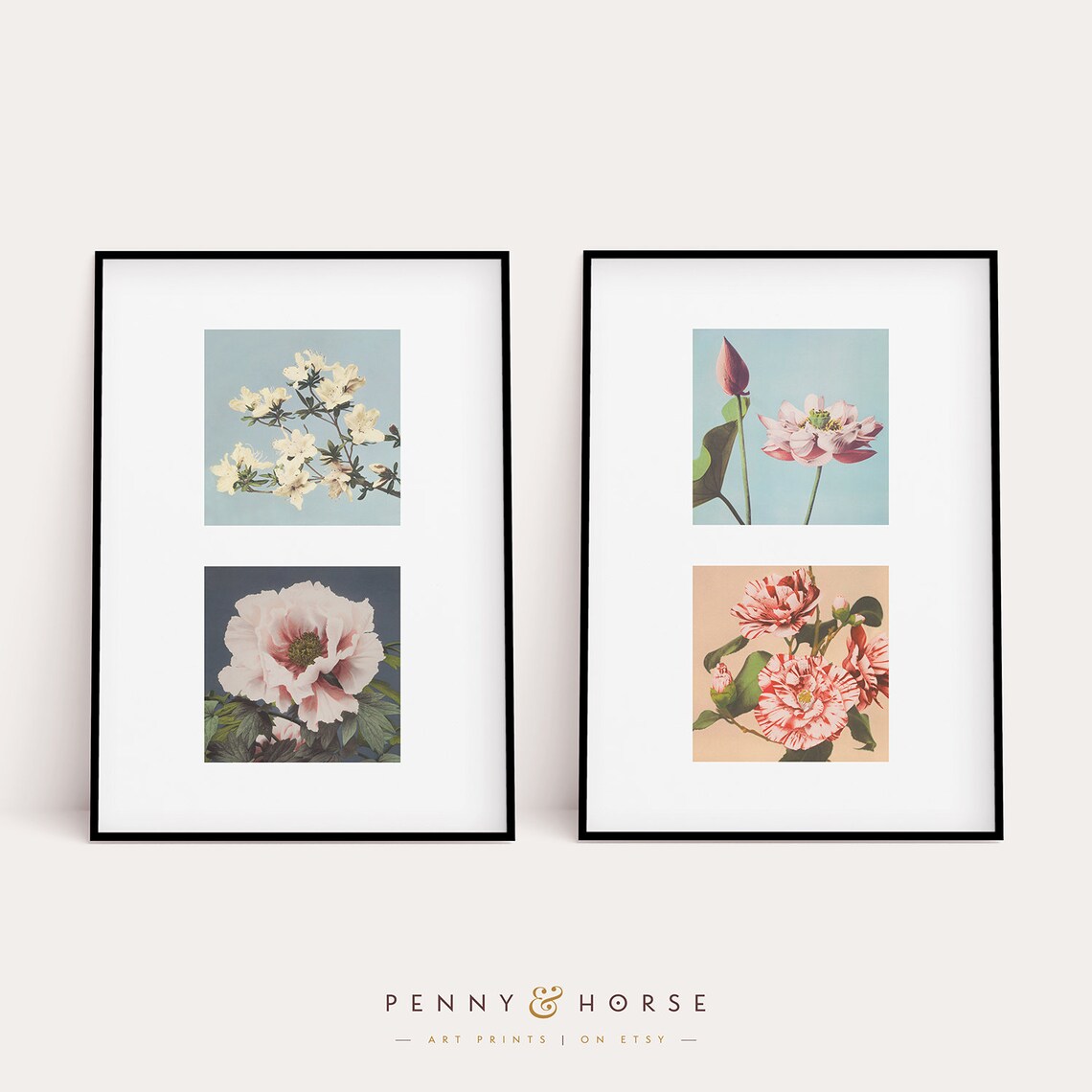 Vintage Floral Print Set Set of 2 Vintage Flowers Art - Etsy UK