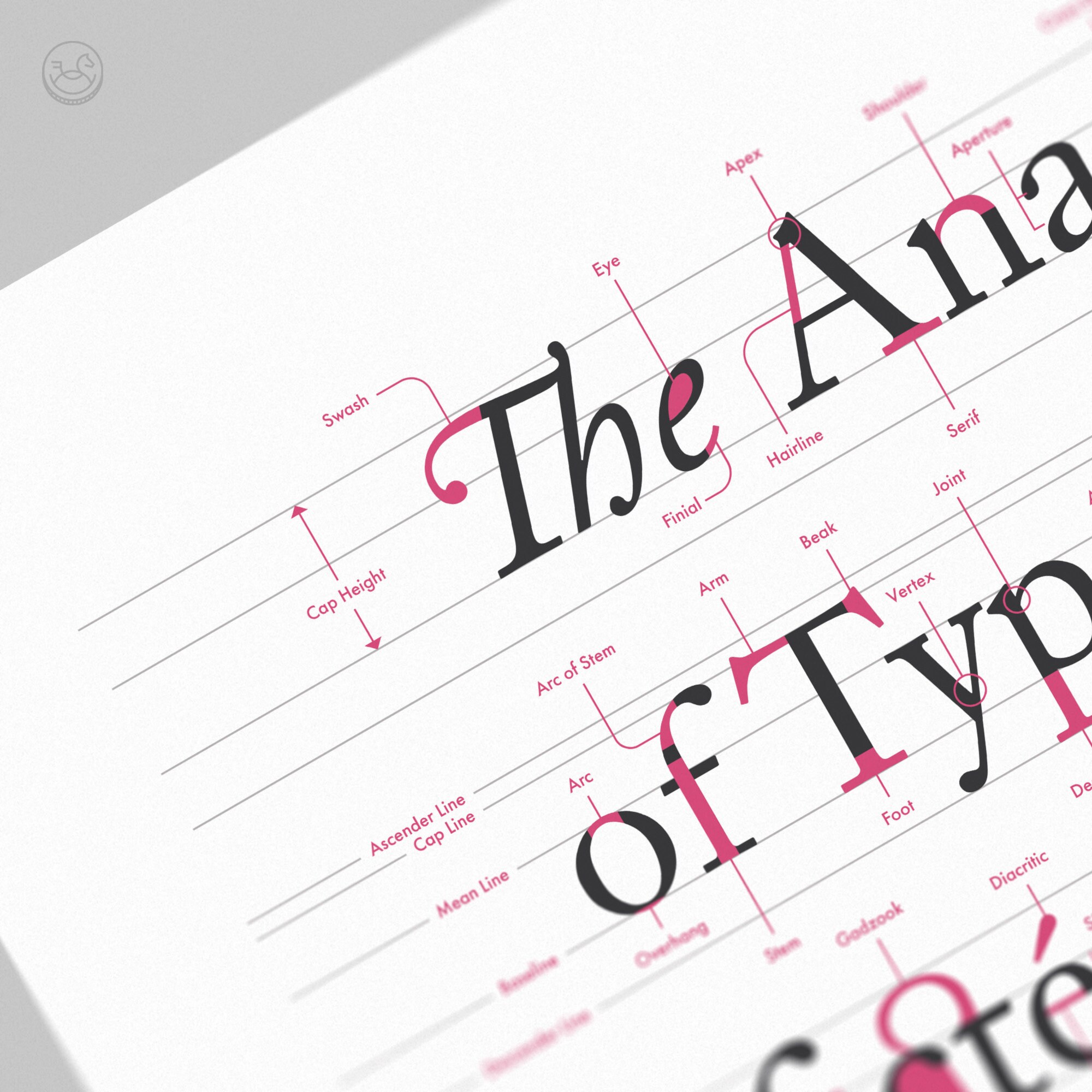 The Anatomy of Typography Poster Type Poster Lettering - Etsy