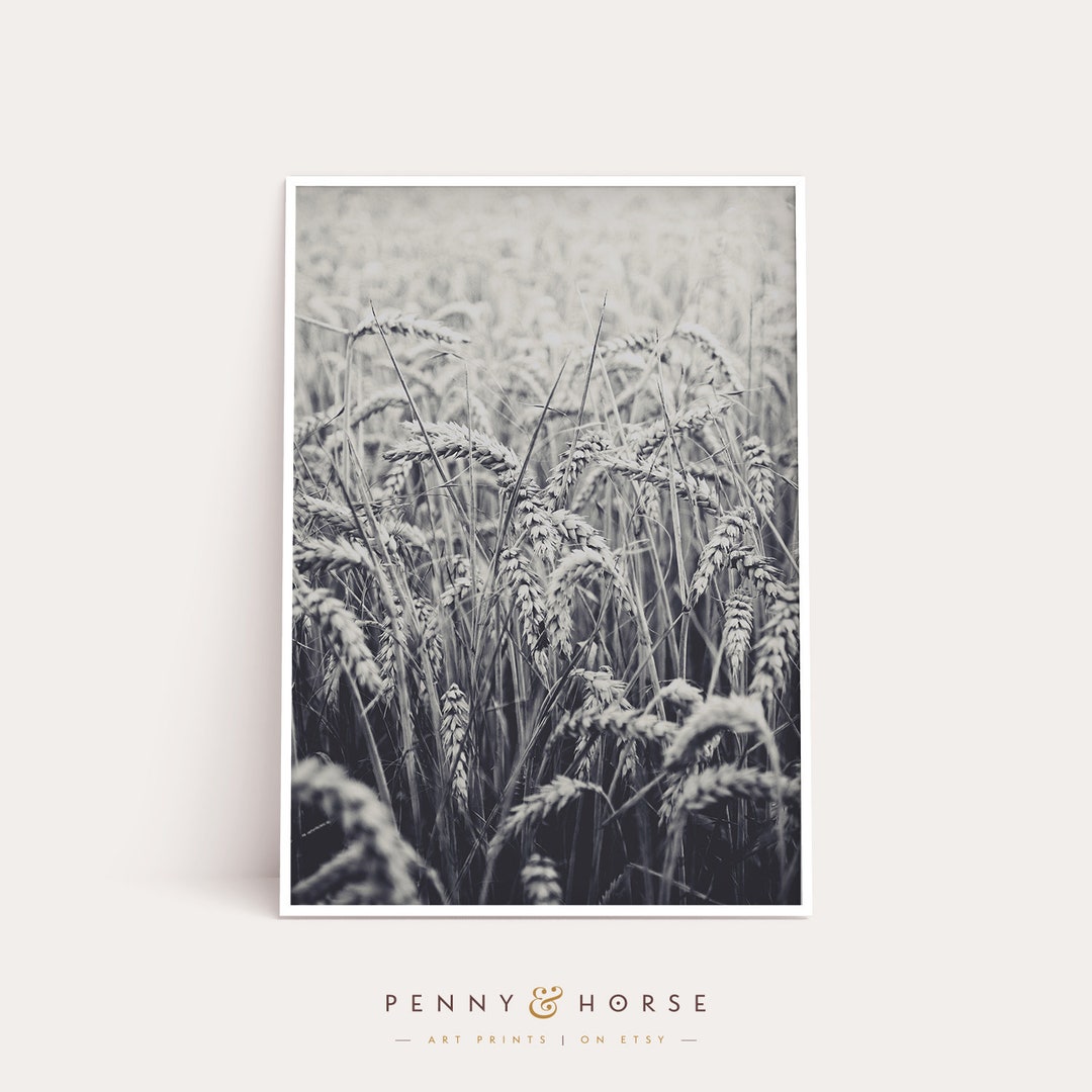 Wheat Field, Wheat Print, Wheat Field Print, Nature Photography, Nature ...
