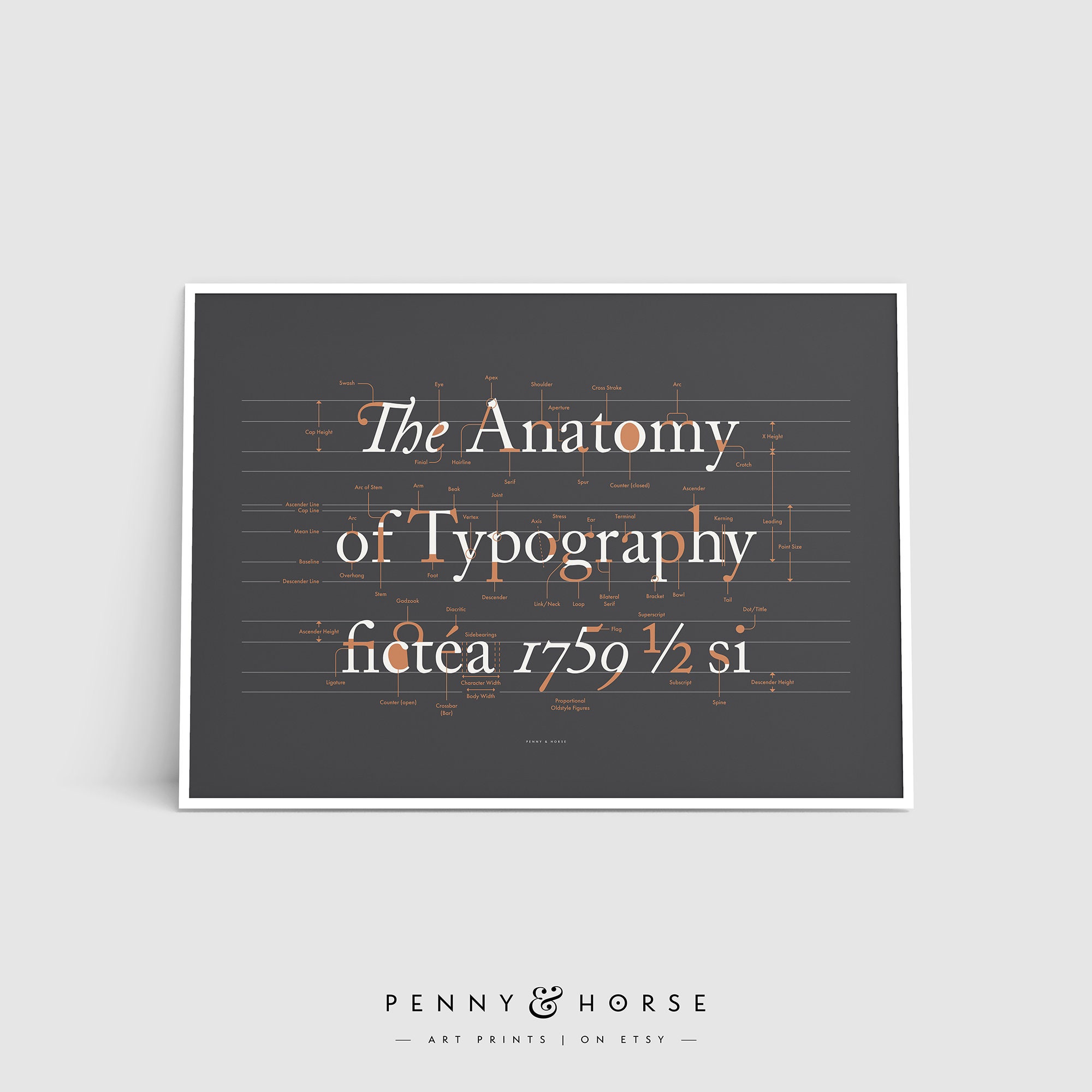 The Anatomy of Typography Poster, Font Design, Typography Terms, Type ...