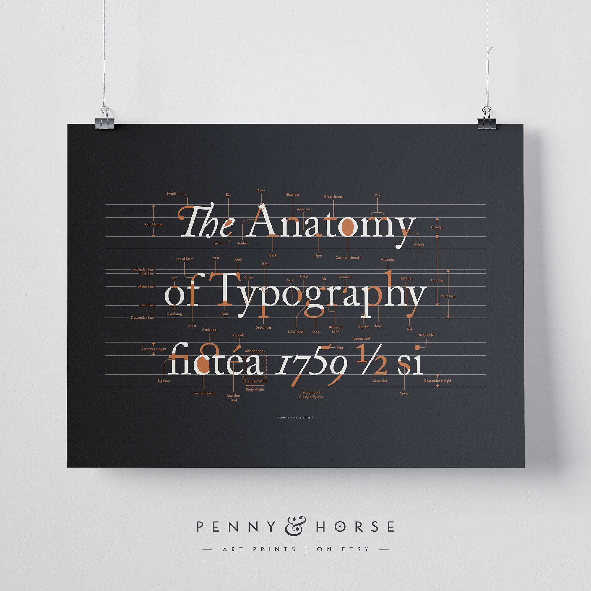 The Anatomy of Typography Poster Font Design Typography - Etsy UK