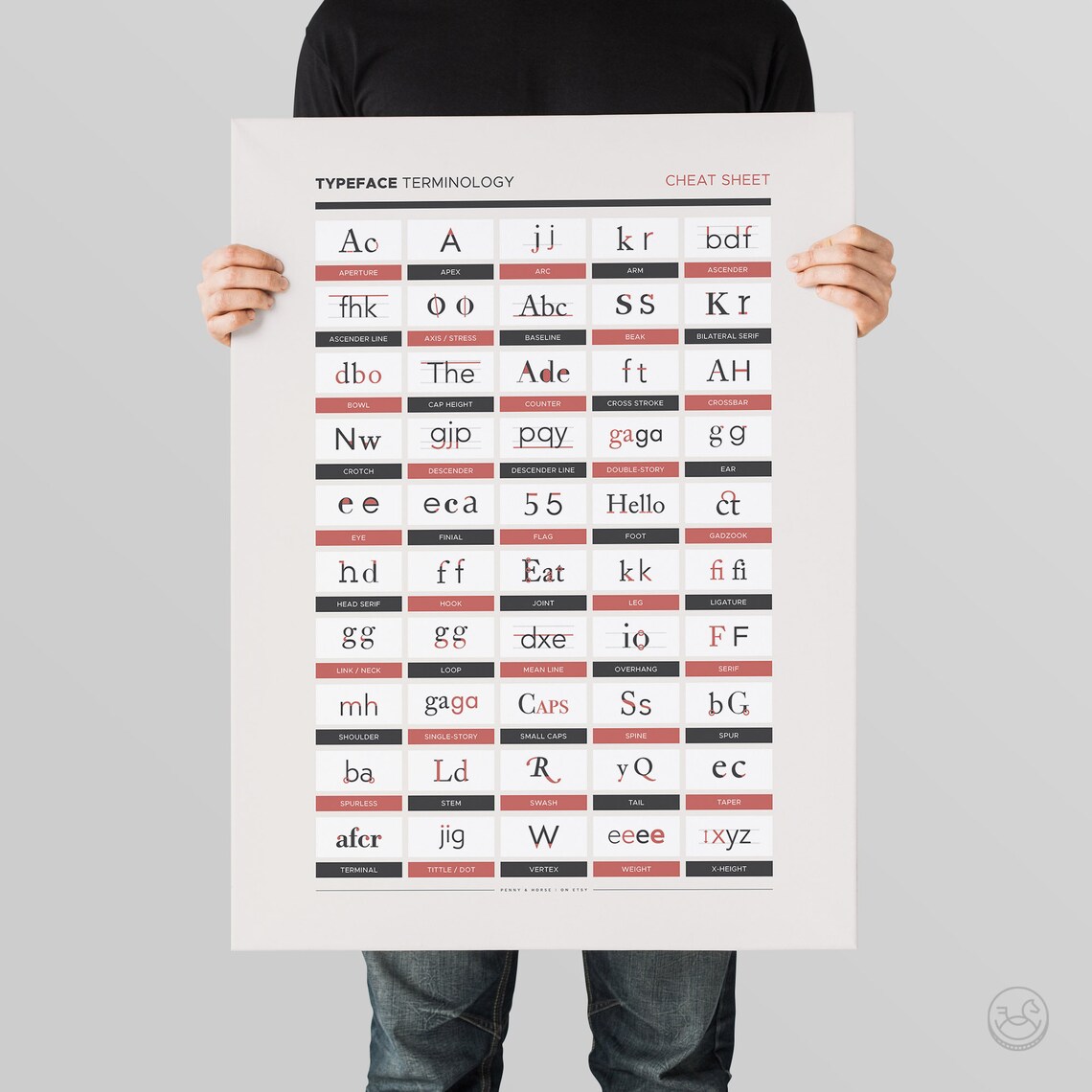 Typeface Terminology Cheat Sheet Common Typography Terms | Etsy