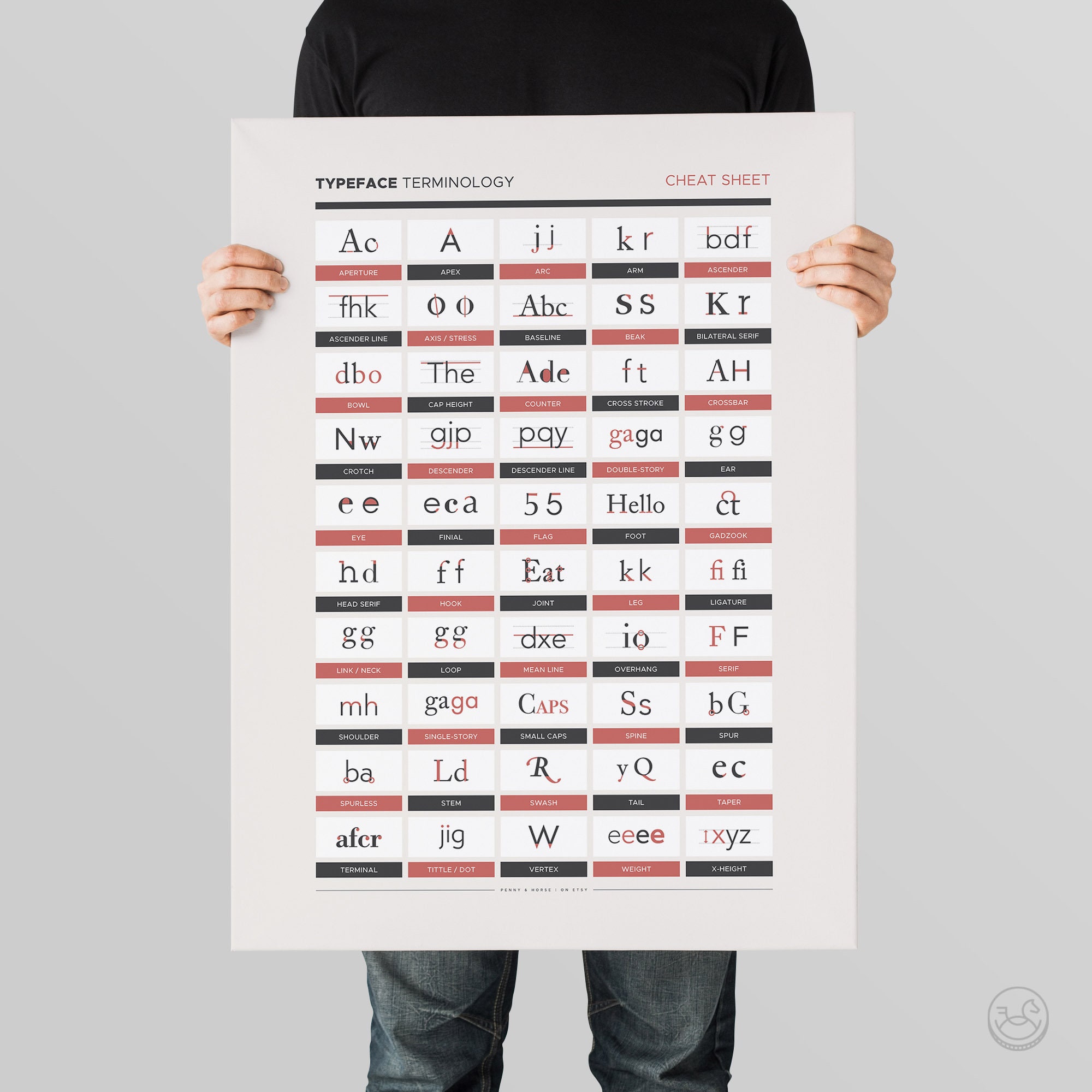 Typeface Terminology Cheat Sheet Common Typography Terms | Etsy