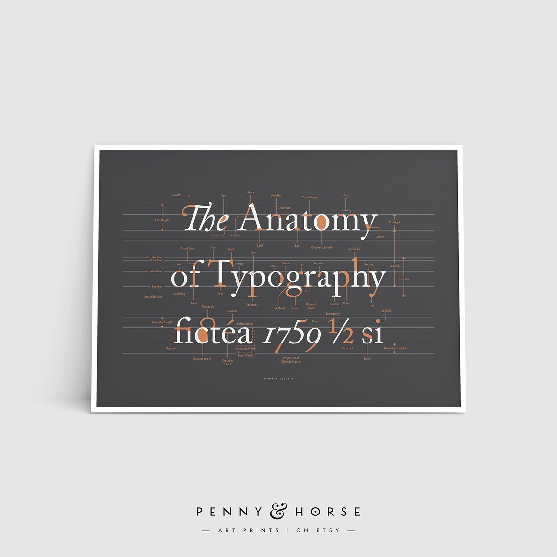 The Anatomy of Typography Poster Font Design Typography - Etsy UK