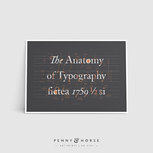 The Anatomy of Typography Poster Type Poster Lettering - Etsy