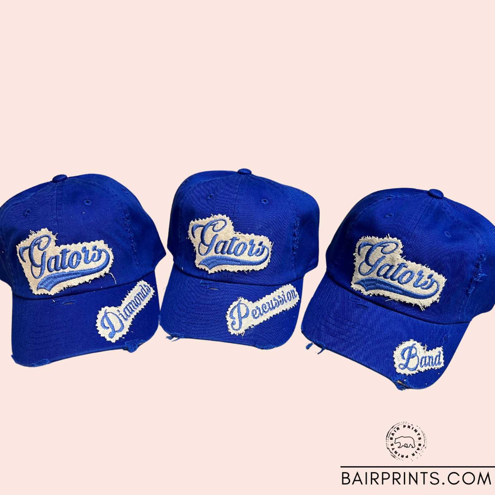 Team Spirit Distressed Hat. Embroidered Mascot Hat. School Spirit Hat ...