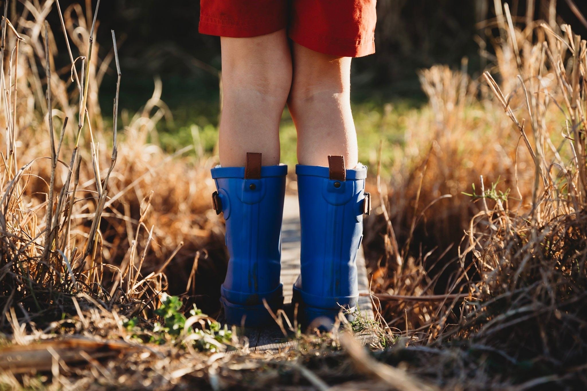SCOUT Natural Rubber Soft Navy Gumboots - Fully Lined! Ready to Post ...