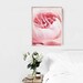 Styled Mockup Photography Frame Mock Up. Styled Photo Stock - Etsy