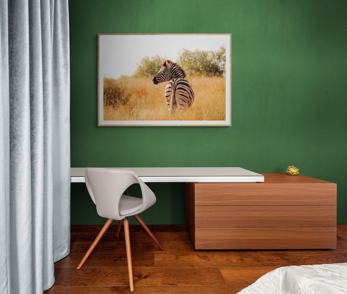 Zebra Photo | Wall Art | Digital Print - Etsy