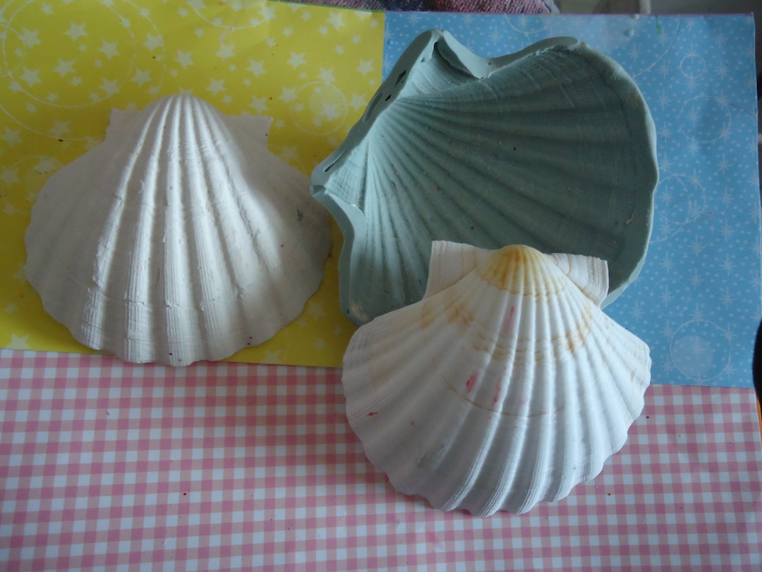 Silicone Scallop Shell Mold, Life-size Exact Reproduction for Fimo Clay ...