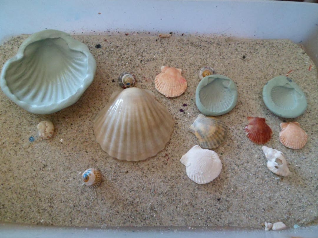 Silicone Molds Scallop Shells 3 Sizes for Fimo Wepam Clay - Etsy