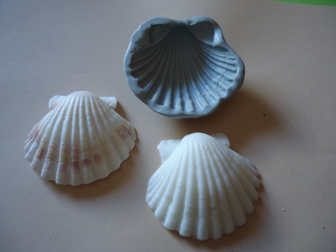 Silicone Mold Scallop Shell Small Size for Fimo Clay Wepam - Etsy Ireland