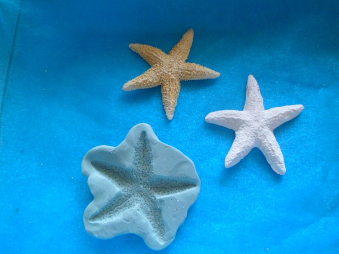 Starfish Silicone Mold Exact Reproduction for Fimo Wepam Clay - Etsy