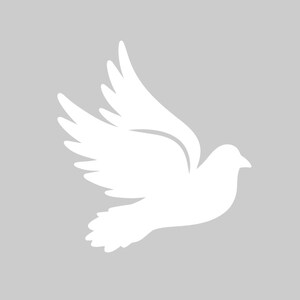 Dove Paper Cut Outs – Paper Doves, Dove Die Cuts for Scrapbooking ...