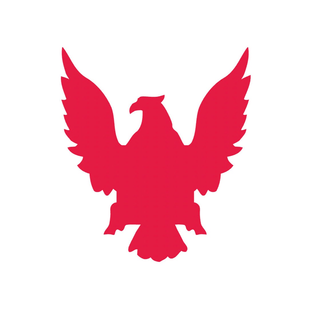 Eagle Paper Cut Outs - Paper Eagle Shape, Eagle Die Cuts, Eagle Cutouts ...