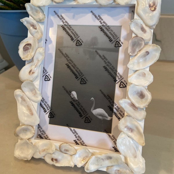 Shell Frame - Etsy