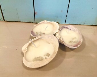 Shell Candle - Etsy