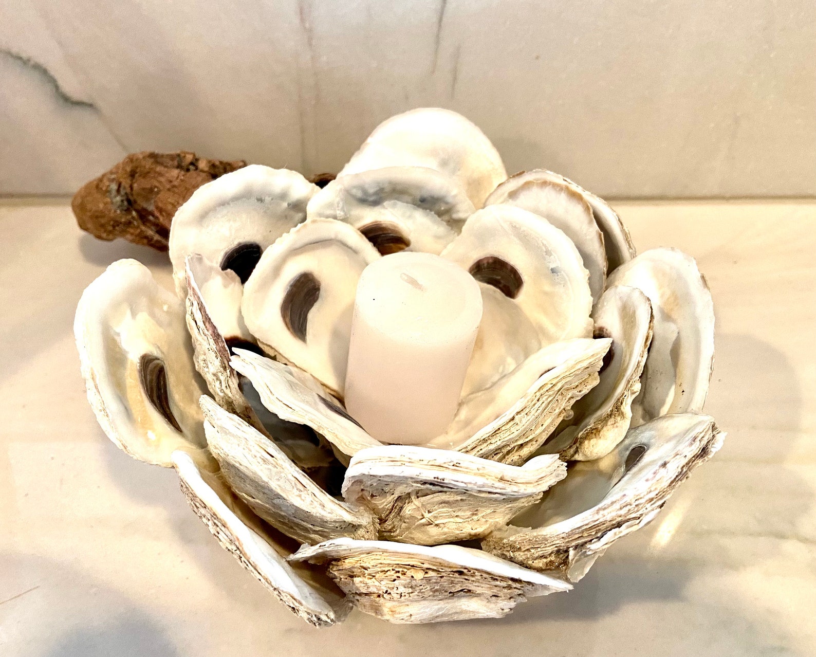 Oyster Shell Candle Holder - Etsy
