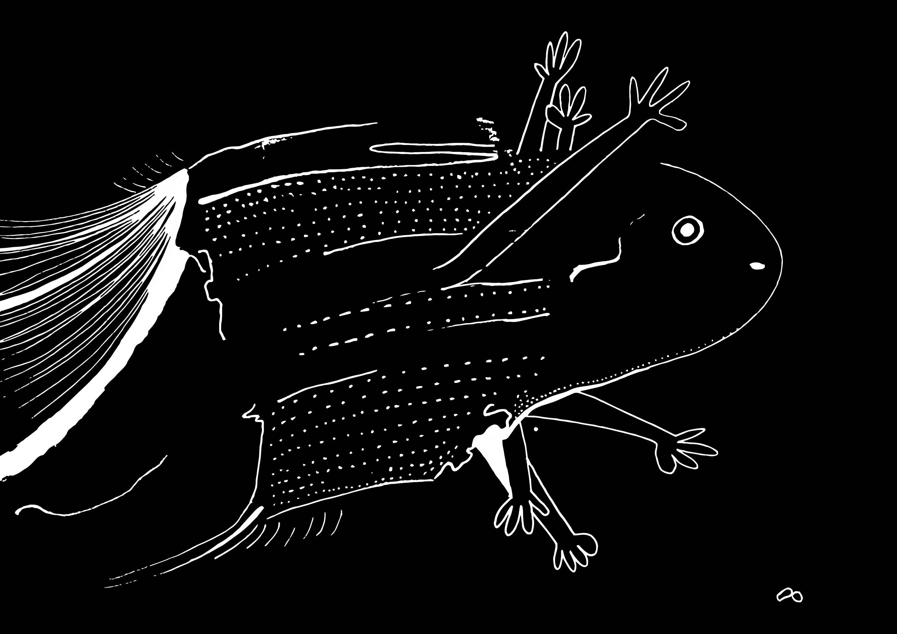 Original Paranoid Monster-creature Prints - Etsy