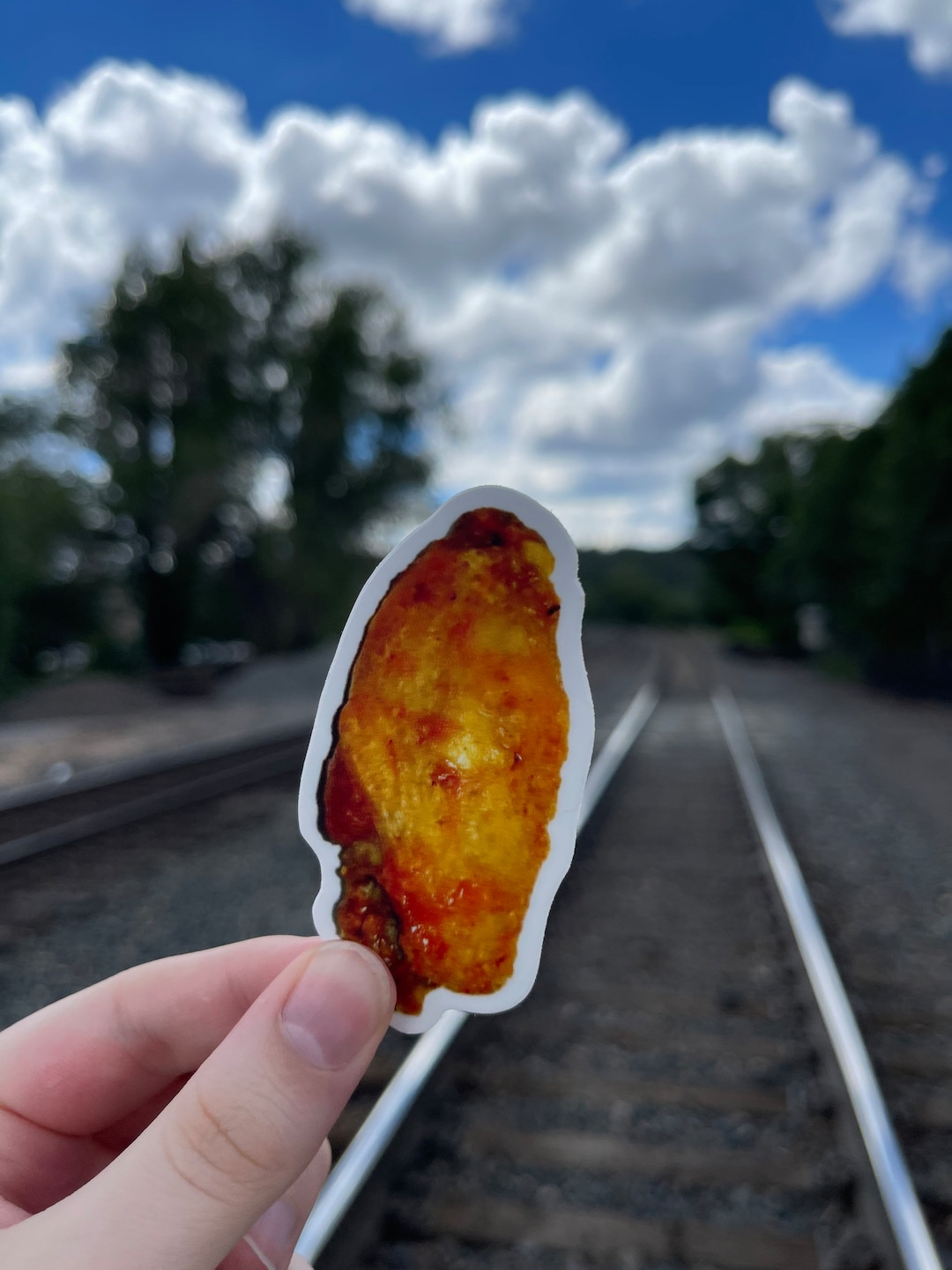 Waterproof Chicken Wing Sticker - Etsy