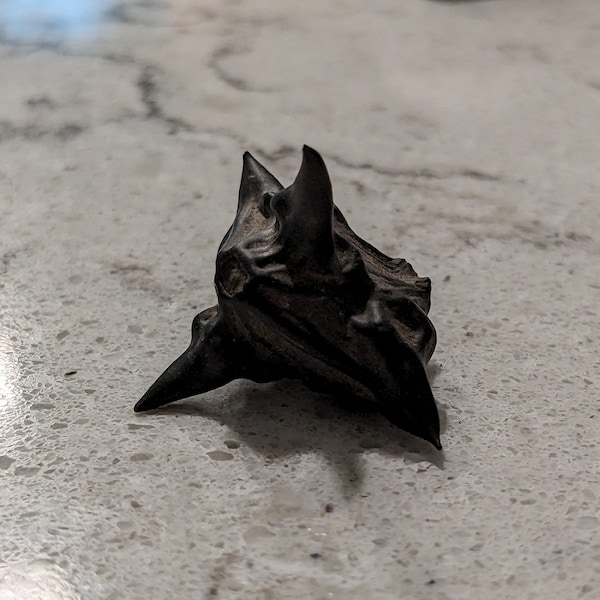 Seed Pod Beads - Etsy