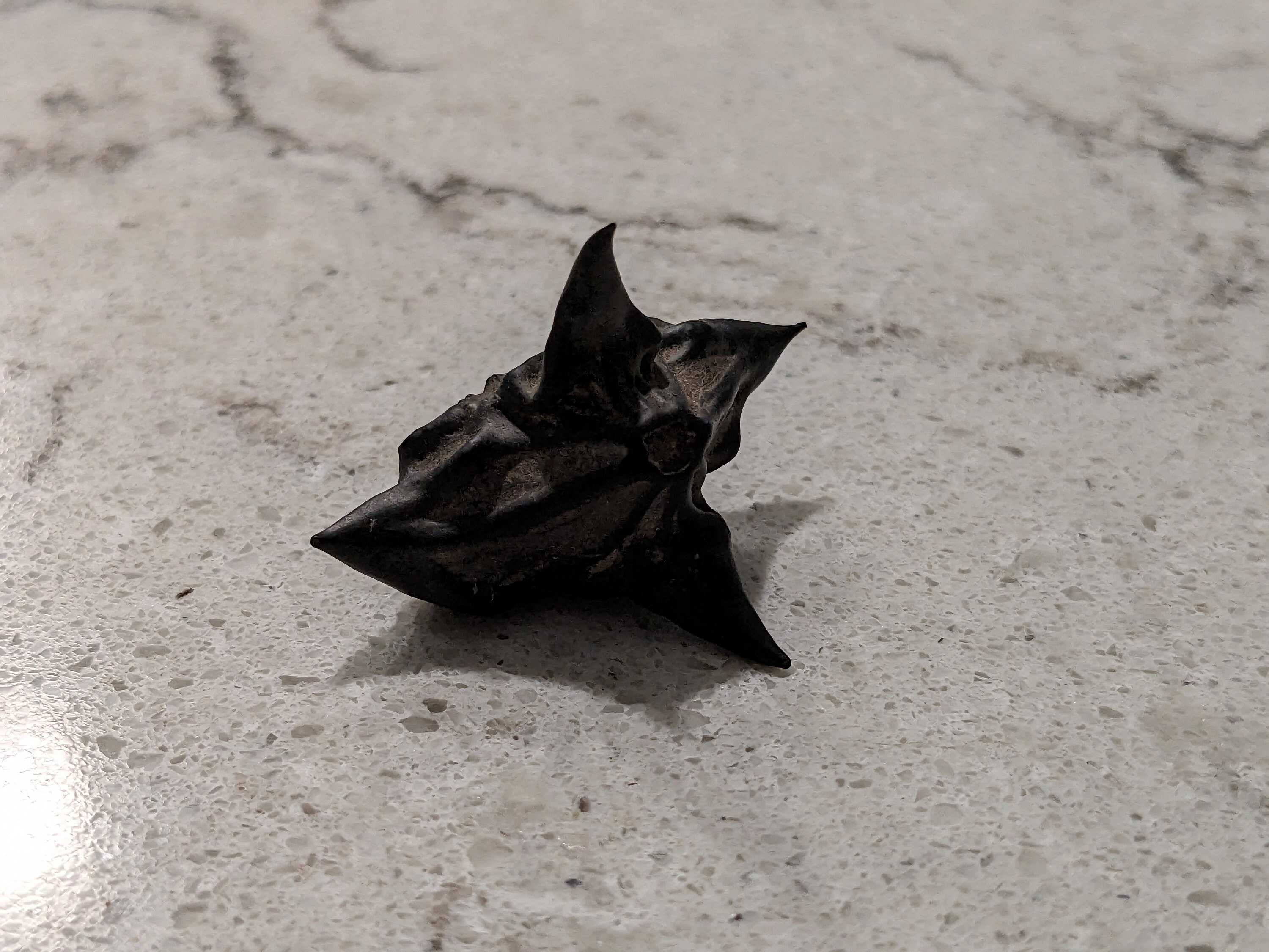 Devils Nuts READ DESCRIPTION bull Nut,river Pod,spiky Nut,bat Nut,devil ...