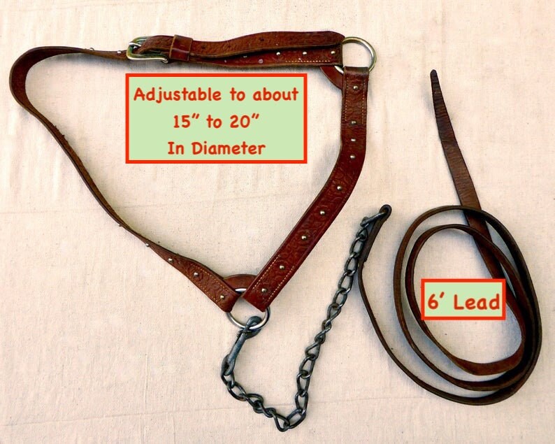 Vintage Cow Lead or Harness: Tooled Leather Adjustable Nickel - Etsy UK
