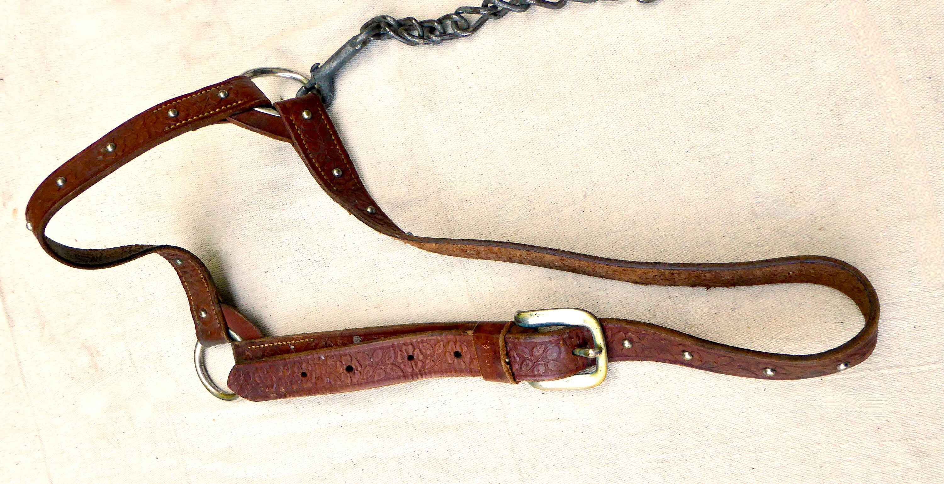 Vintage Cow Lead or Harness: Tooled Leather Adjustable Nickel - Etsy UK