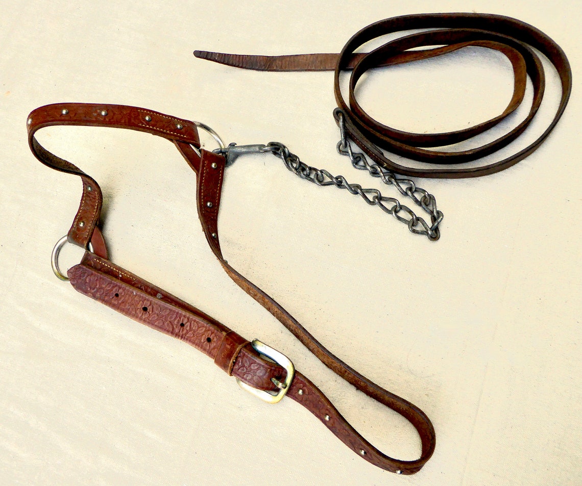 Vintage Cow Lead or Harness: Tooled Leather Adjustable Nickel - Etsy UK