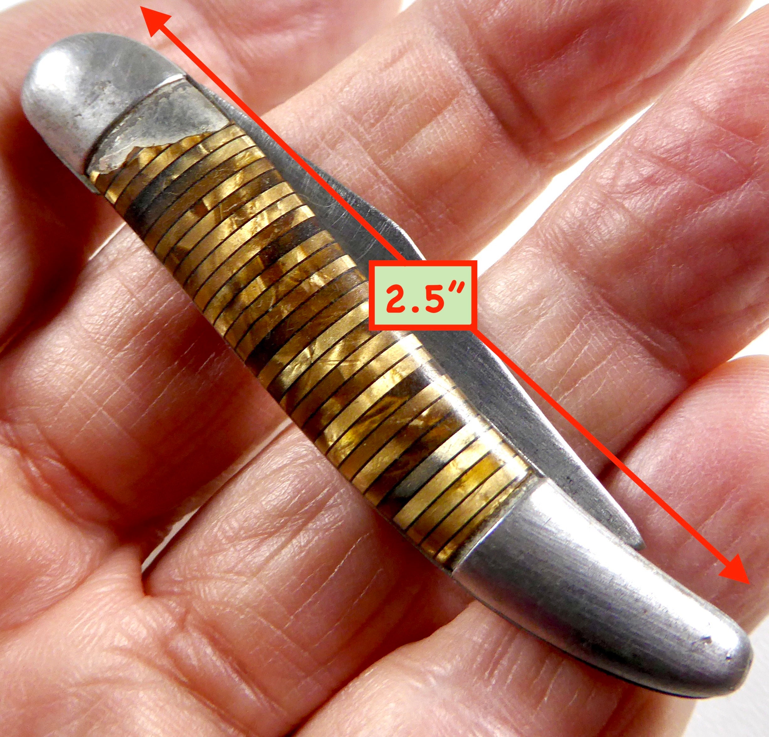 Vintage Pen Knife Single Folding Carbon Steel Blade Celuloid - Etsy