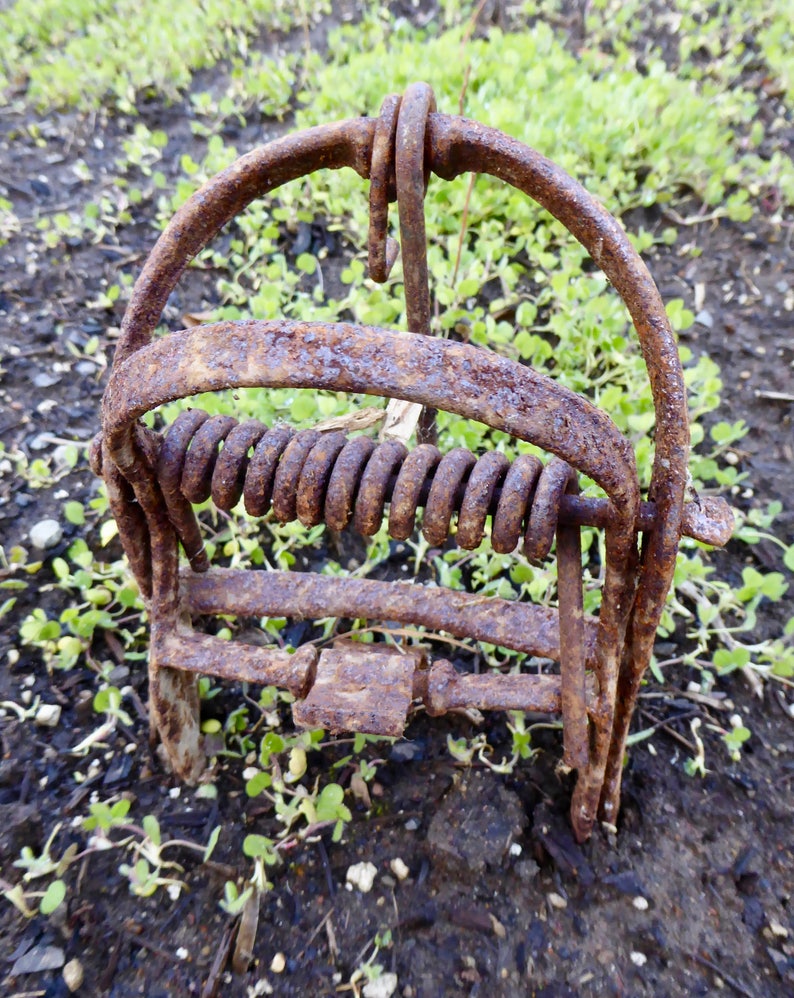 Steampunk Mole Traps: Rusty Rustic and Vicious Circa Early | Etsy