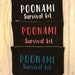 Poonami Survival Kit Bag: Baby Change Purse, New Mum,baby Shower Gift ...