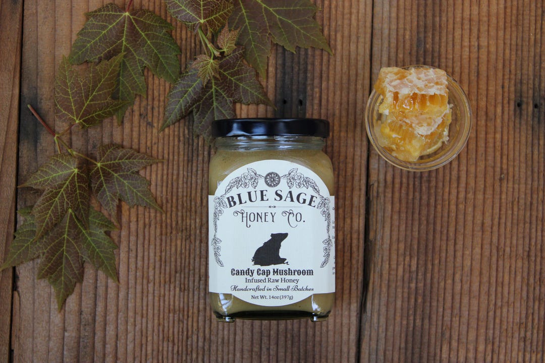 Candy Cap Mushroom Infused Honey - Maple Syrup Mushroom - Etsy