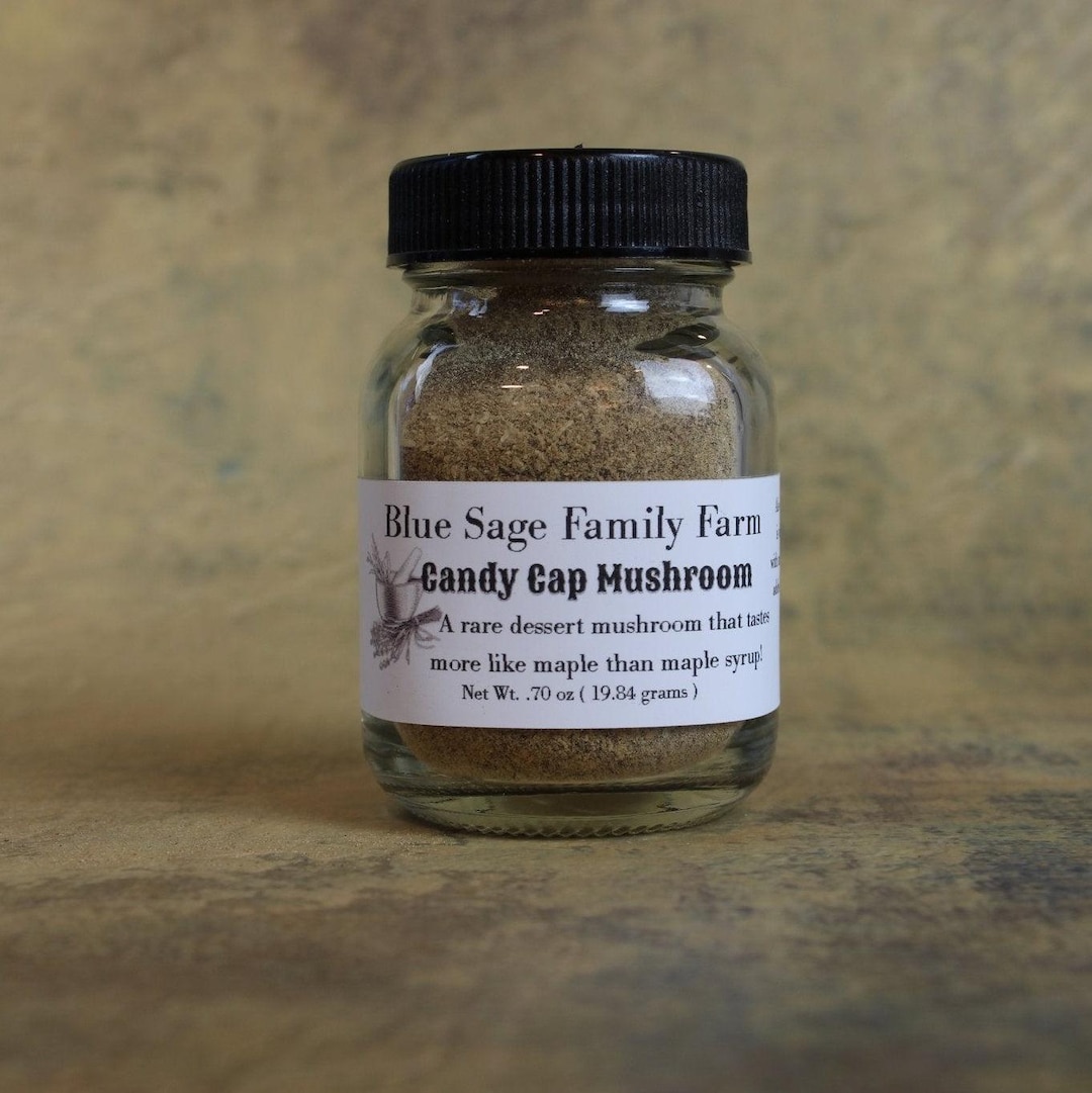 Candy Cap Mushroom Powder ~ Maple Syrup Mushroom Wild Foraged - Etsy