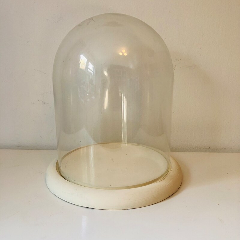 Large Glass Domes - Etsy