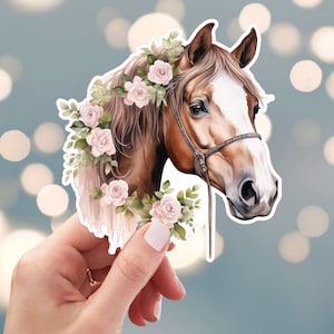 Riding Horse Sticker, Thoroughbred Horse Sticker, Horse Race Winner ...