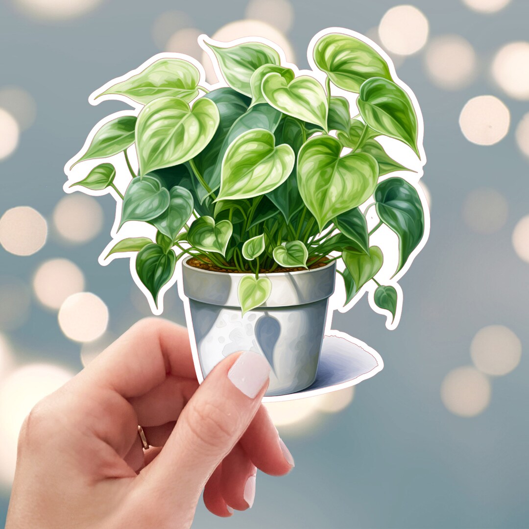 Potted Plants Sticker, House Plant Sticker, Green House Sticker, Garden ...