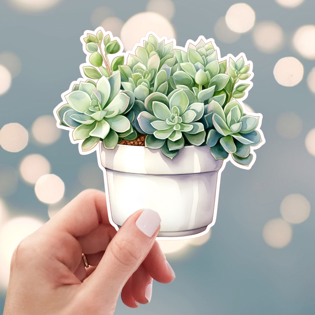 Potted Succulent Sticker, House Plant Sticker, Succulent Sticker ...