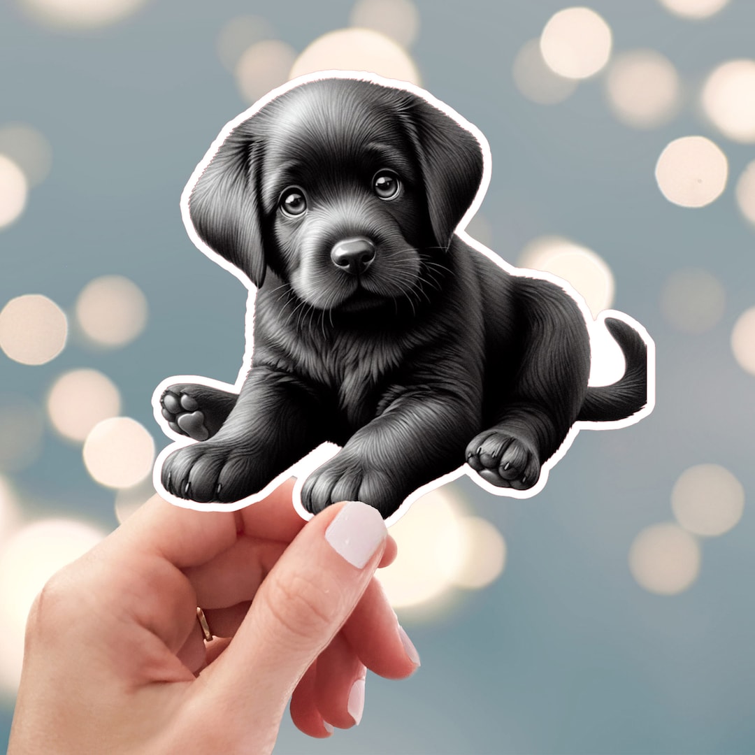 Black Lab Sticker, Labrador Retriever Sticker, Labrador Puppy Sticker ...