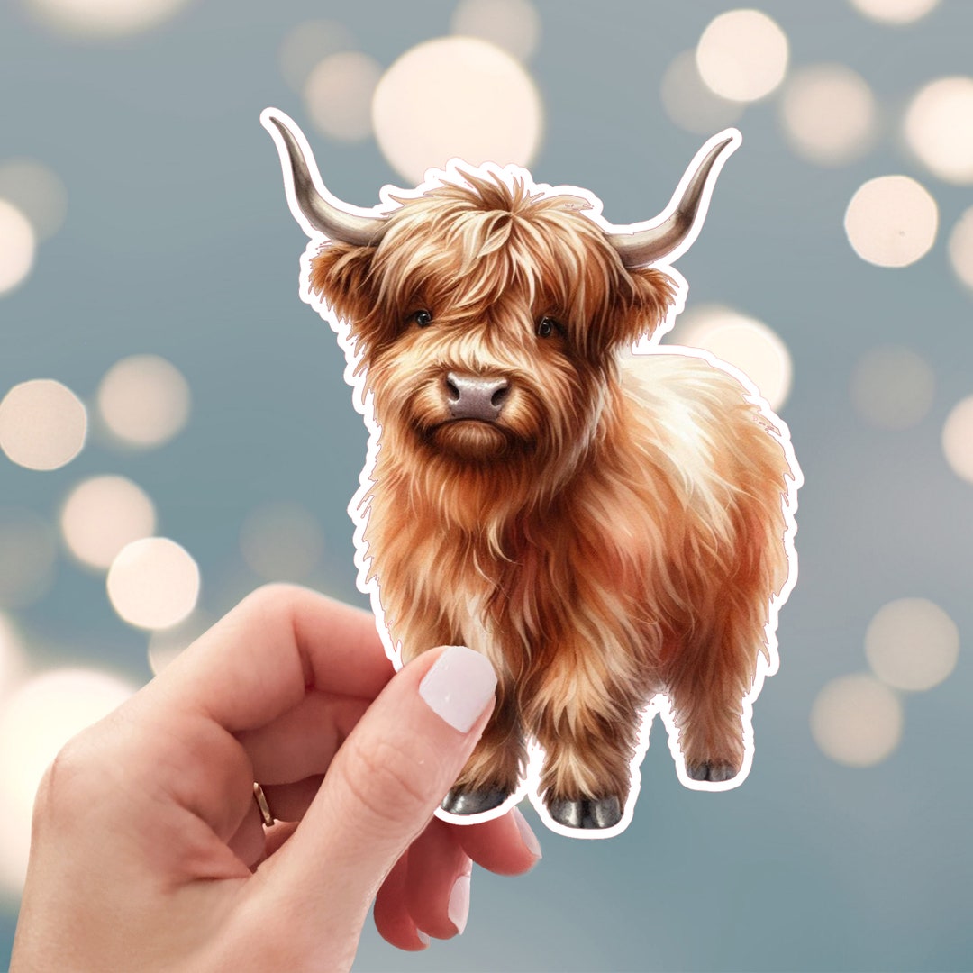 Highland Cow Sticker, Long Horn Cow Large Sticker, Baby Highland Cow ...