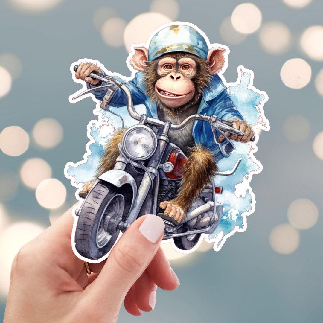 Monkey Riding Motorcycle Sticker, Chimp Motorcycle Sticker, Monkey ...