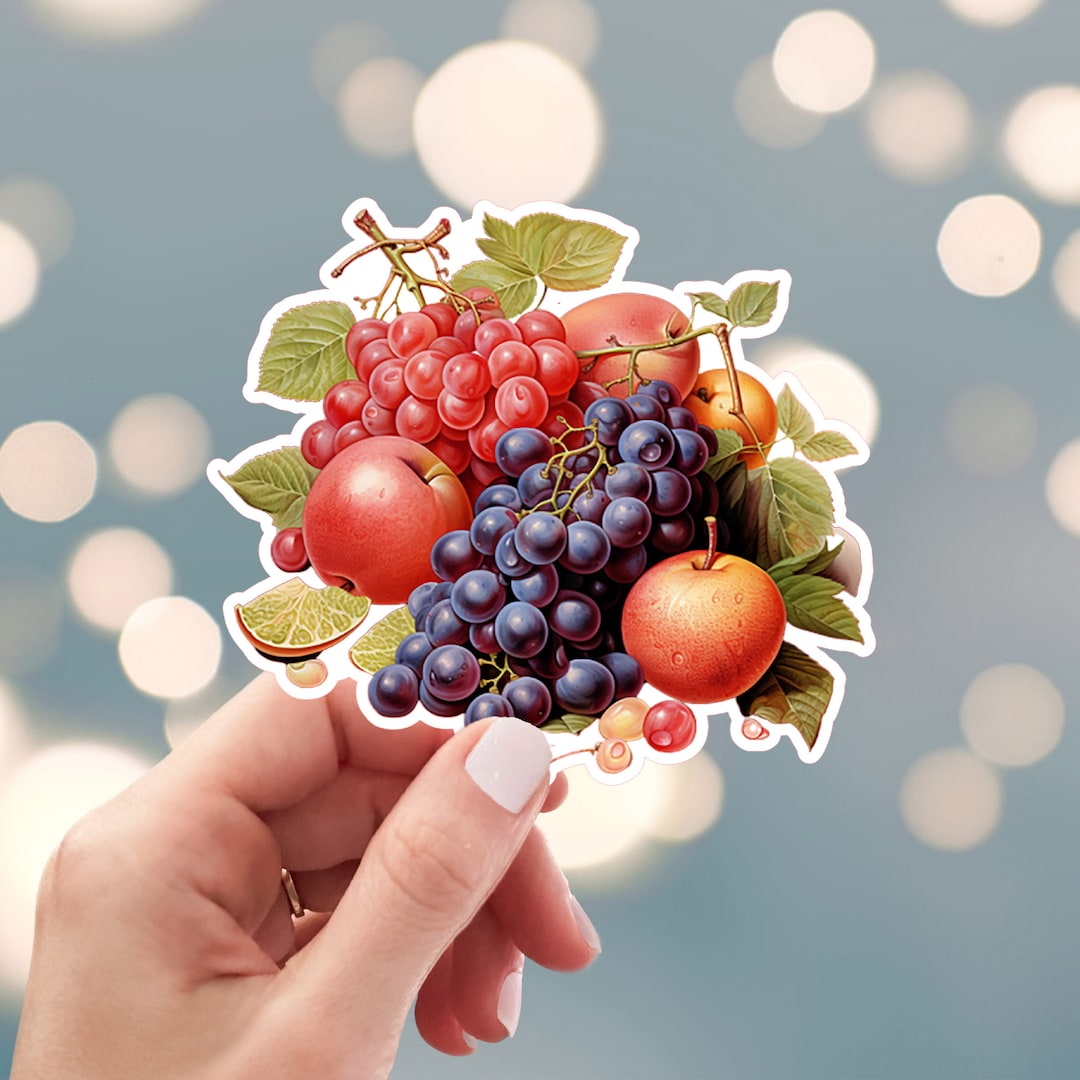 A Bunch of Fruit Sticker, Orchard Fruits Sticker, Kawaii Fruit Sticker ...