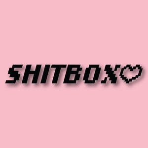 Pixel Shitbox Vinyl Car Decal - Etsy