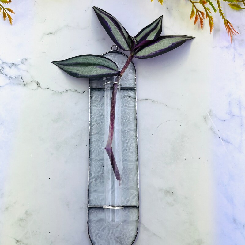 Glass Propagation - Etsy