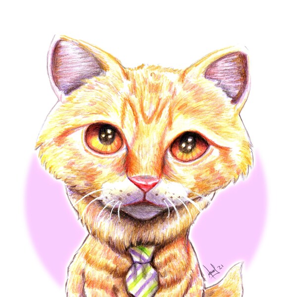 Custom Pet Drawing - Etsy