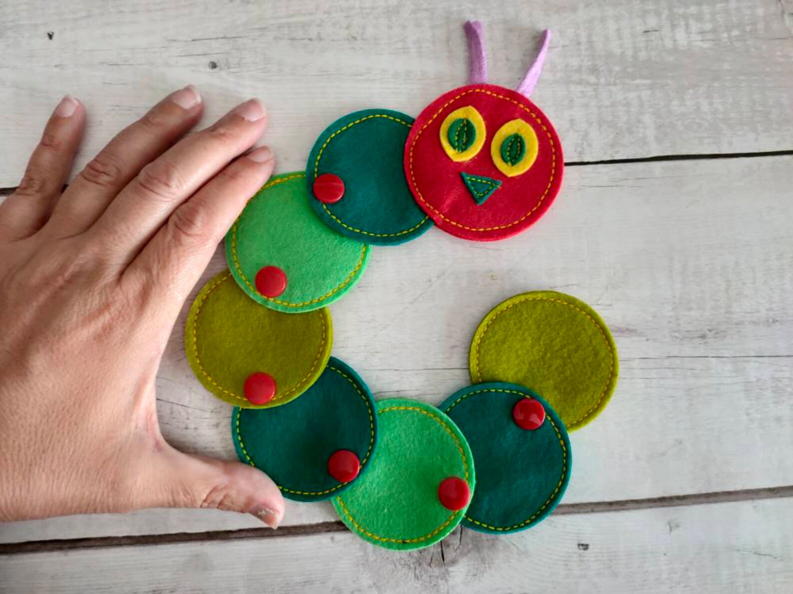 The Very Hungry Caterpillar Cycle Life Activity Game La | Etsy
